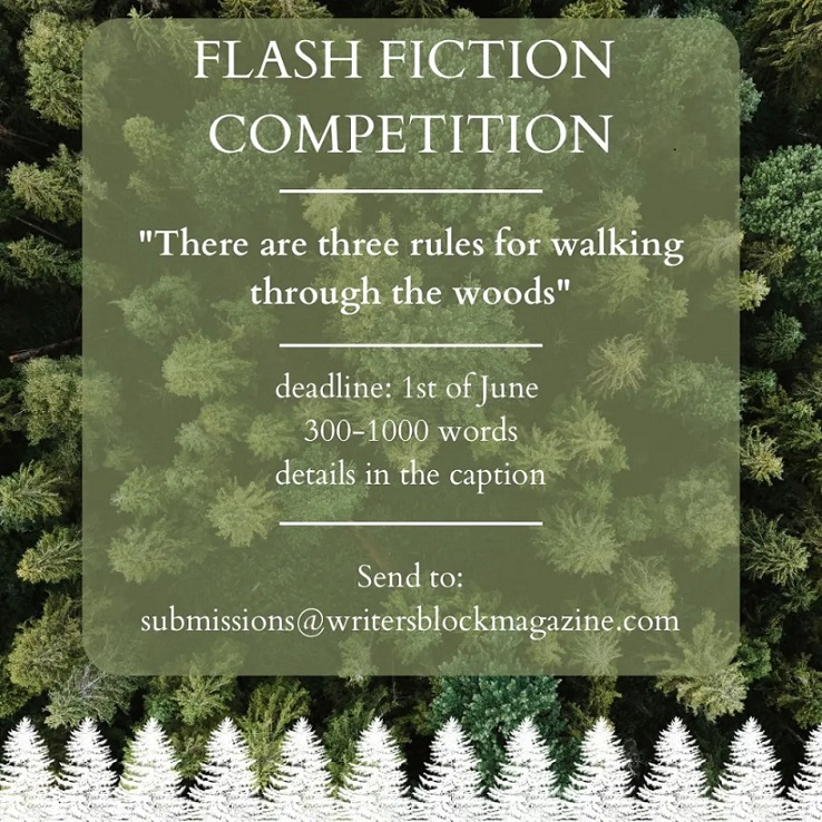 Flash Fiction Competition 2023 – Writer's Block Magazine
