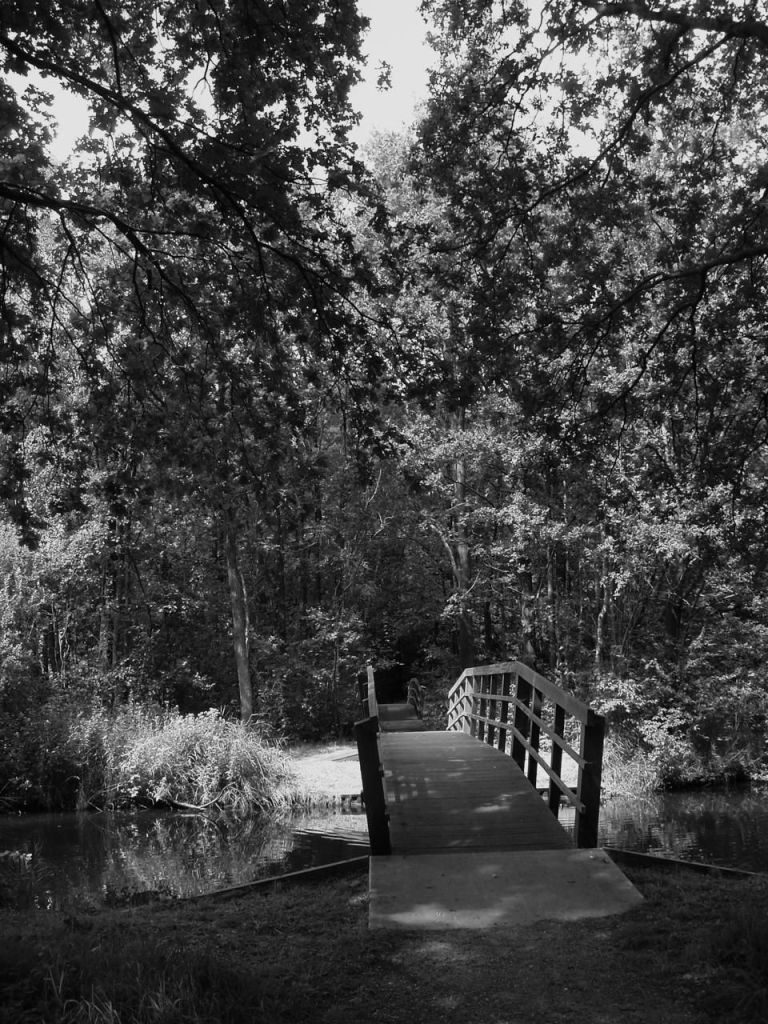 Cycle Syncing: The Myth of Alignment – Writer's Block Magazine